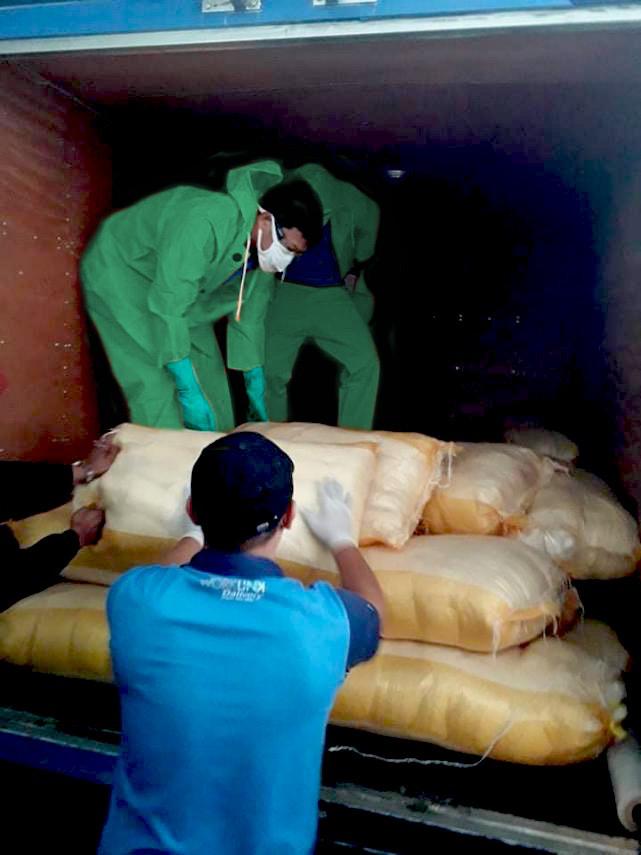 Chelsea Group, Phoenix and Udenna Foundation answer Batangas farmers ...