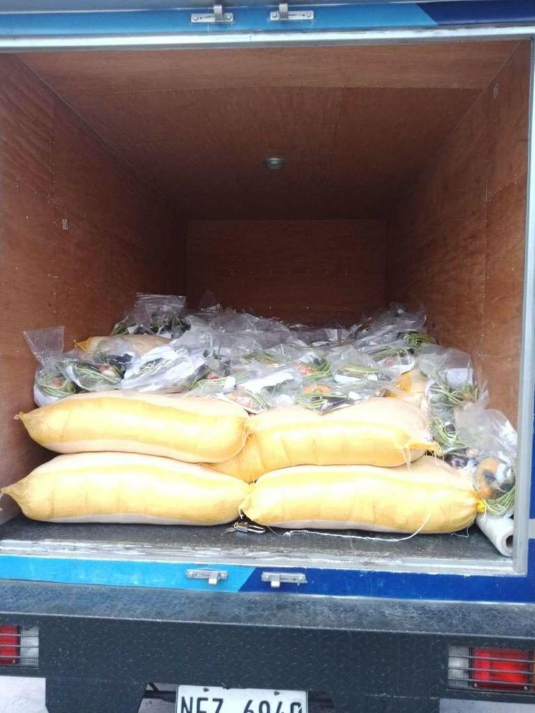 Chelsea Group, Phoenix and Udenna Foundation answer Batangas farmers ...