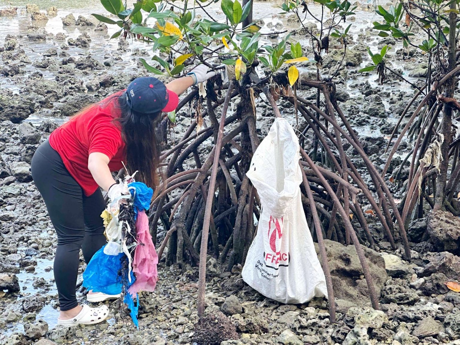 Fastest-Growing Oil Company in the Philippines | Phoenix Fuels